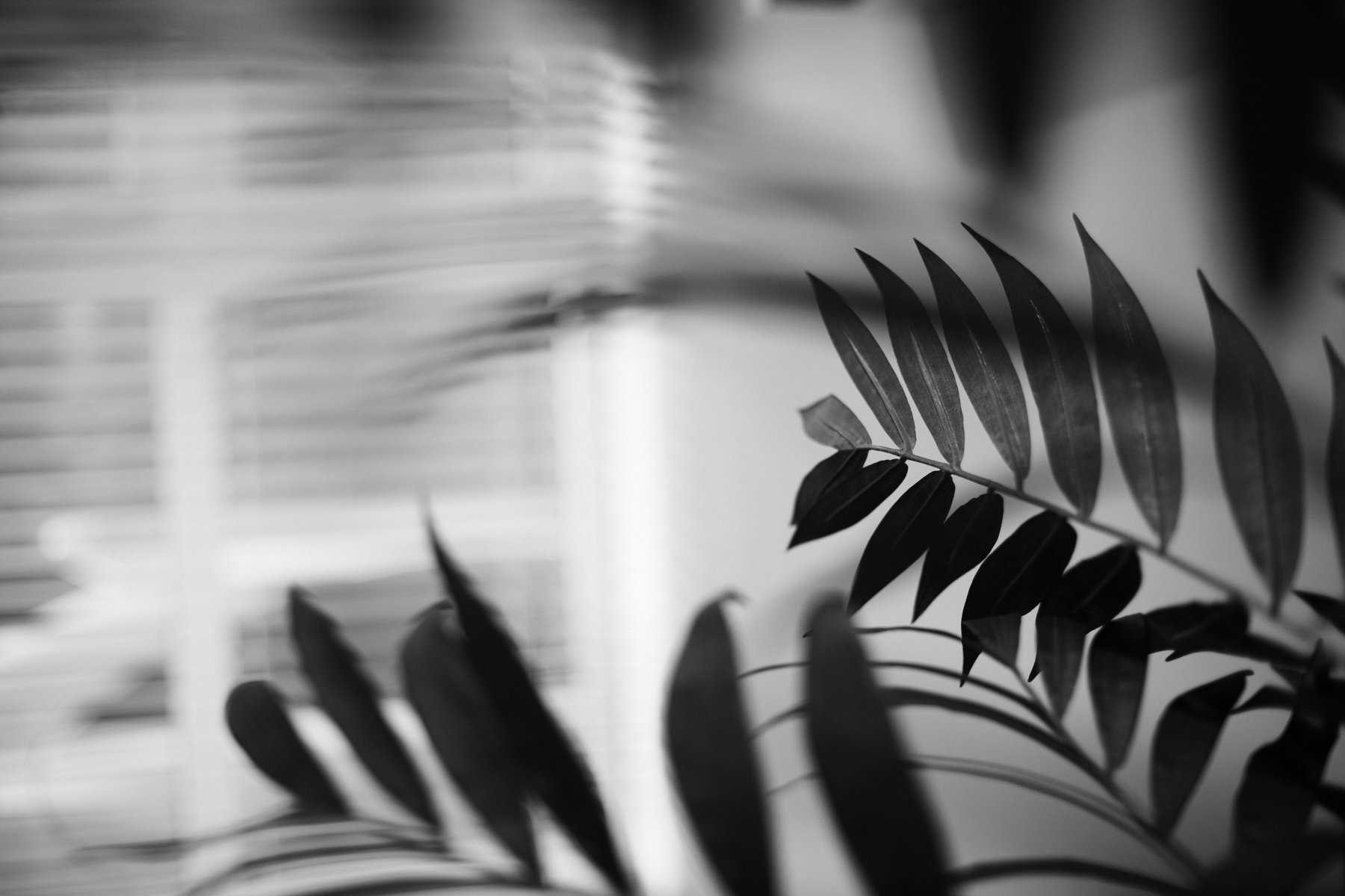 Financial Planning Has Never Been More Important DBL Asset Management